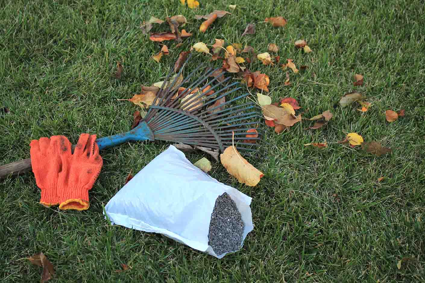 Fall Lawn Fertilization Tips For A Better Spring Next Year! - Lush ...